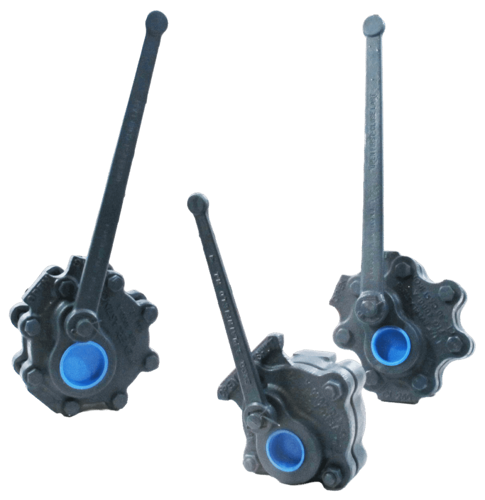 Boiler Blowdown Valves | Everlasting Valve Company